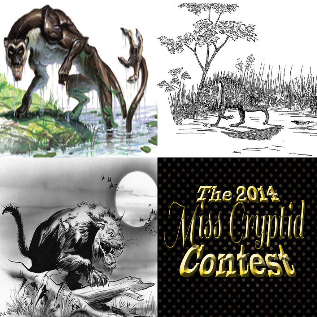 Miss Cryptid 2014 Week 2 - Blurry Photos